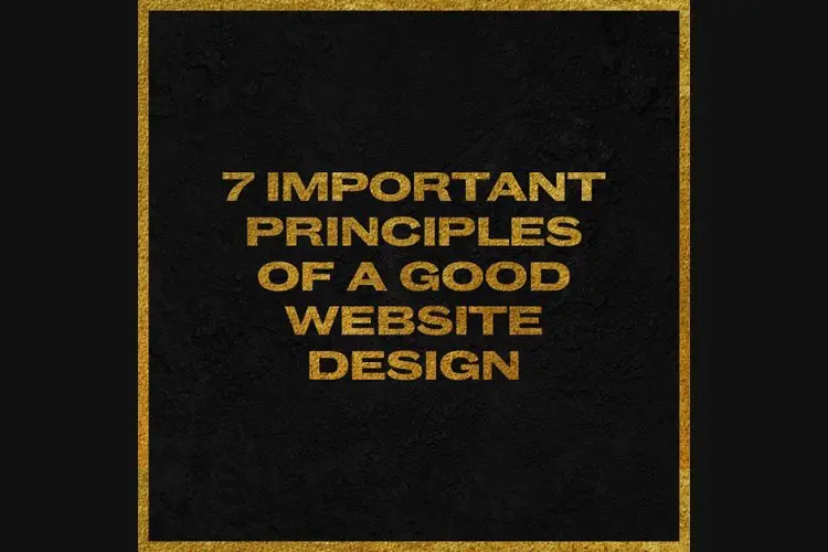 7 Important Principles Of A Good Website Design. - Freepik Downloader