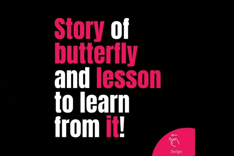 Story Of Butterfly And Lesson To Learn From It ! - Freepik Downloader