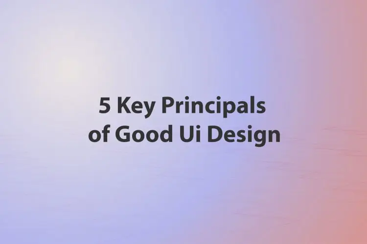 5 Key Principals Of Good Ui Design - Freepik Downloader